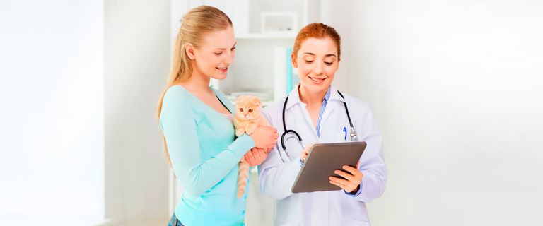 Veterinary Practice Loans and Financing from Bank of America
